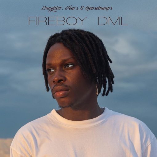 The 15 Most Remarkable Contemporary Nigerian Album Covers | Kurating ...